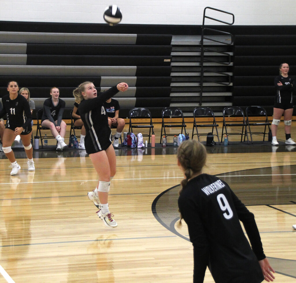 Wolverines make Remsen St. Mary’s earn its 3-0 win – belltimescourier.com