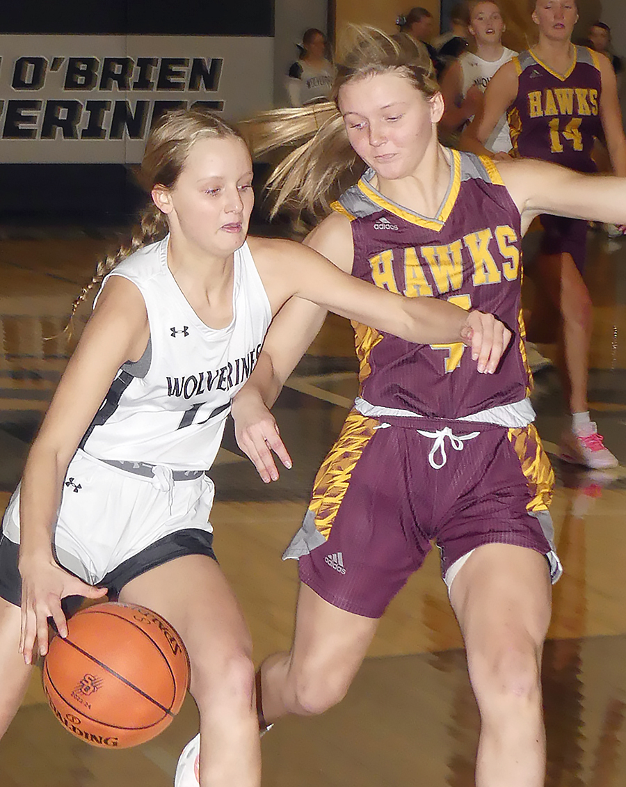 HMS shots drop in second half as Wolverine girls fall ...